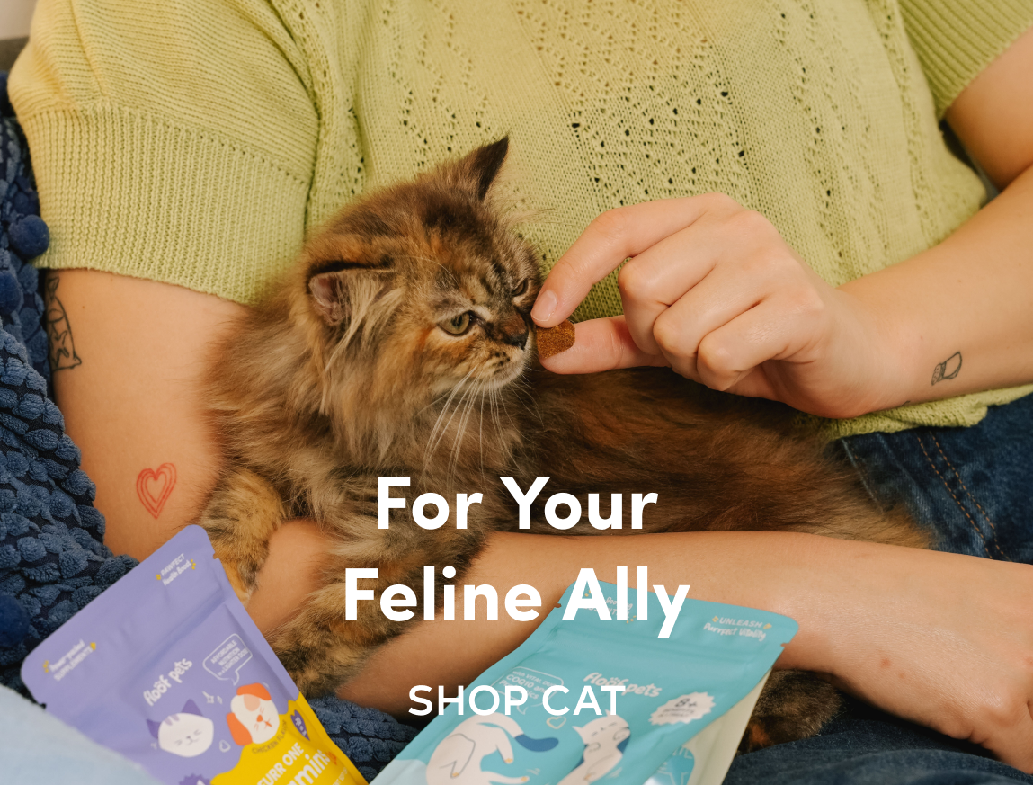 For Cats – Floof Pets
